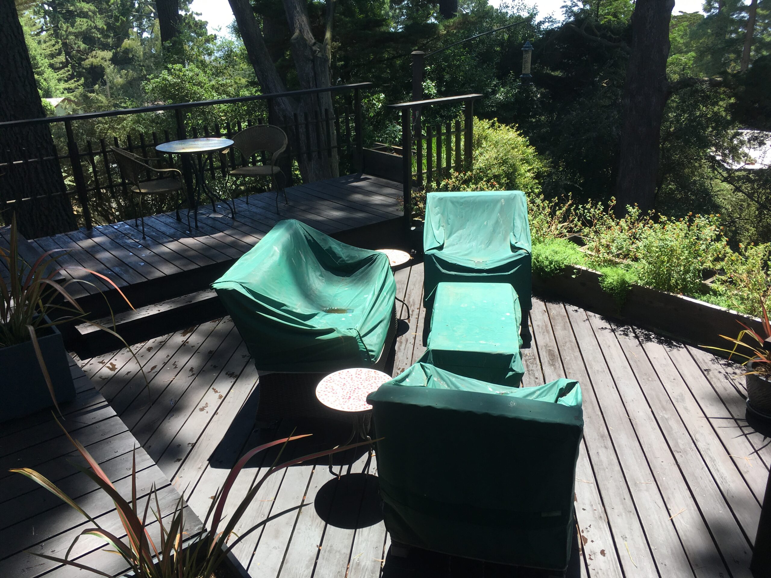 New Armstrong Clark Color – Espresso Semi-Solid | Armstrong Clark Wood ...